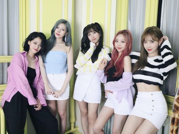 RHEA Members Profile